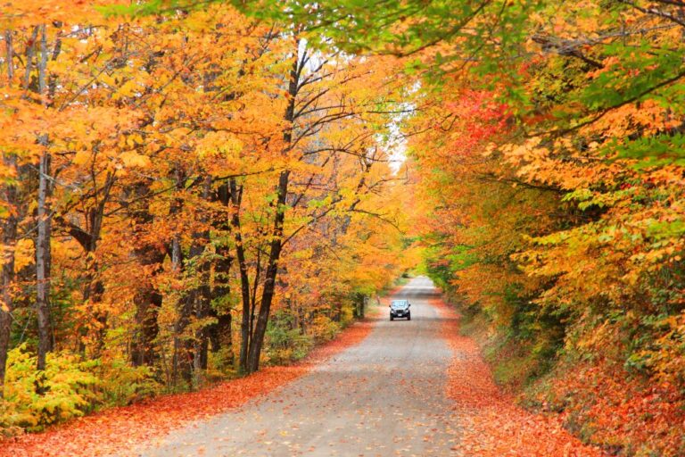Fall Foliage Guide 2022 - Visit New England Blog